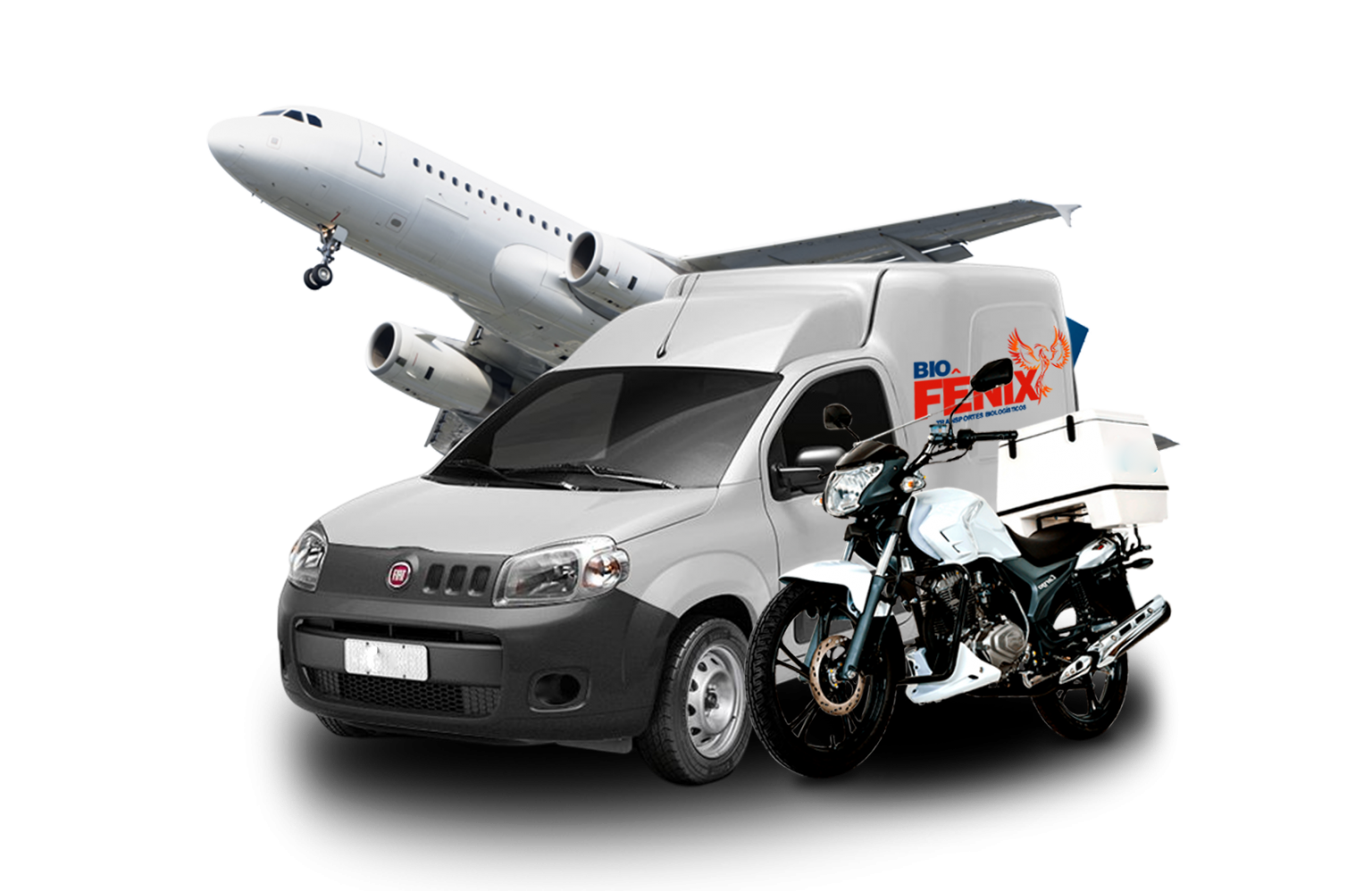 Bio Fênix Transporte – Transporte Biológicos